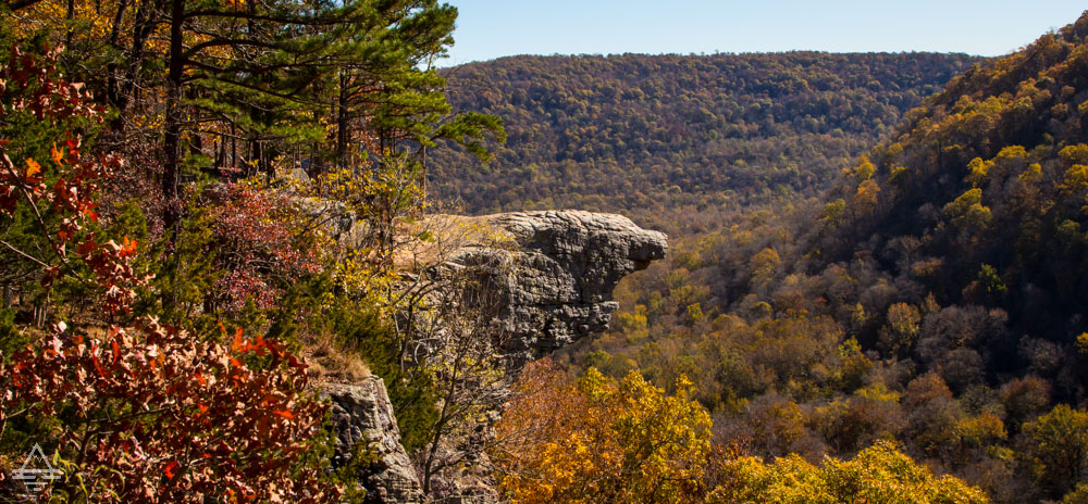 Whitaker Point Trail - TRIPS TIPS and TEES